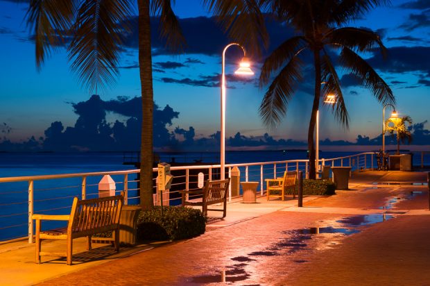 What to See in Florida