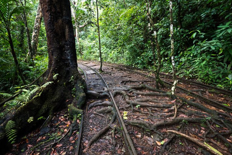 2 Week Itinerary for Visiting Diver’s Paradise – Palau in Micronesia