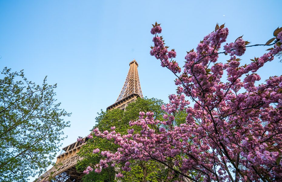 A Week in Paris in Spring