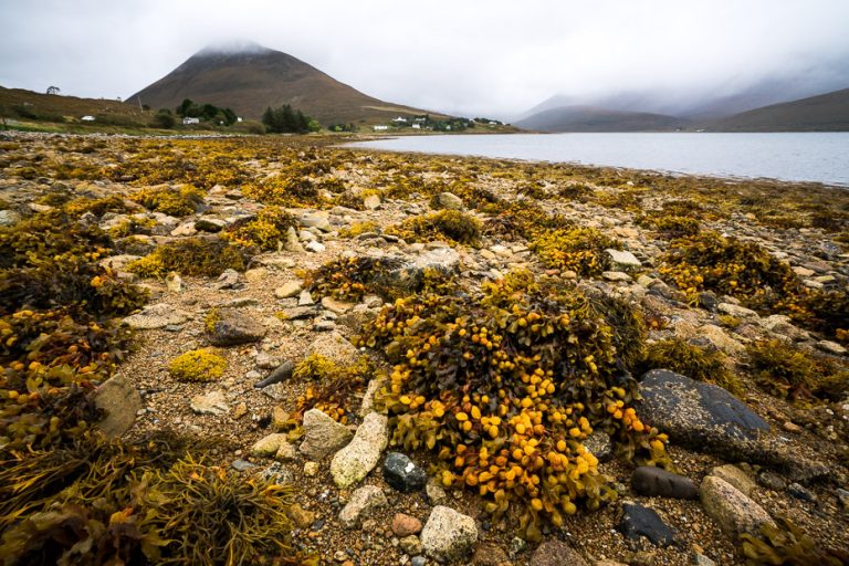 Scottish Highlands Road Trip: Loch Ness & Isle of Skye