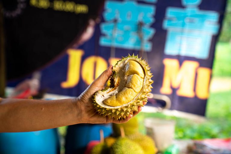 The most impressive places visited this year