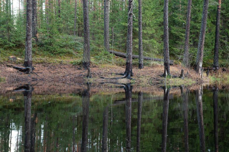 17 best nature trails to visit in Latvia in winter – recommended by a local