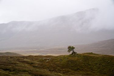 Scottish Highlands Road Trip: Loch Ness & Isle of Skye